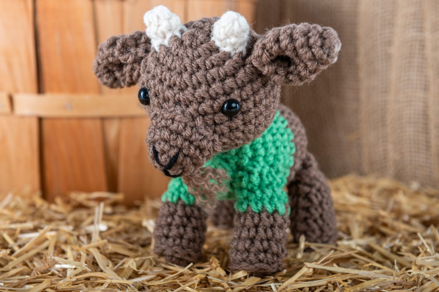 Groovy Goats – Groovy Goat